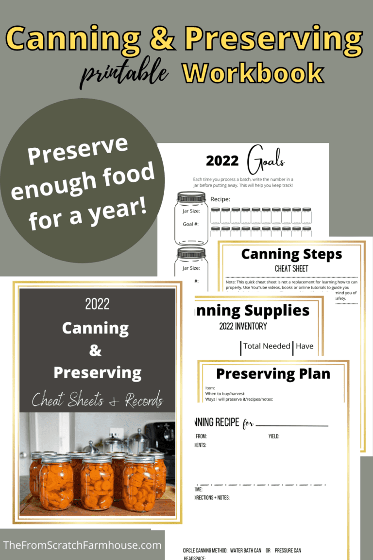 How to Prepare for Your First Canning Season {Best Beginner Canning ...