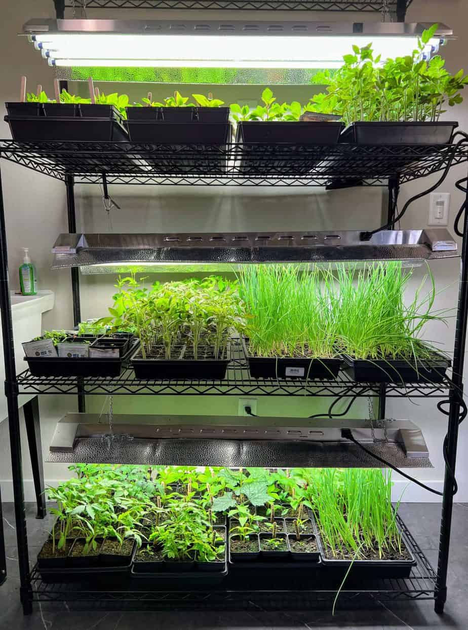 Simple and Affordable Seed Starting Setup - The From Scratch Farmhouse