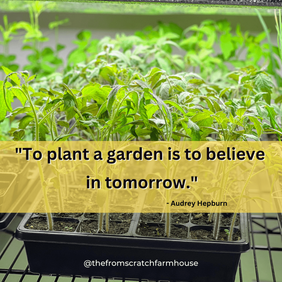 Best Homesteading and Simple Living Quotes that Encourage and Inspire ...