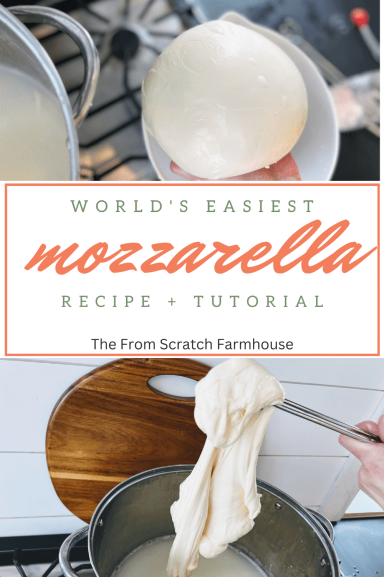 The World’s Easiest Mozzarella Cheese Recipe and Tutorial - The From ...