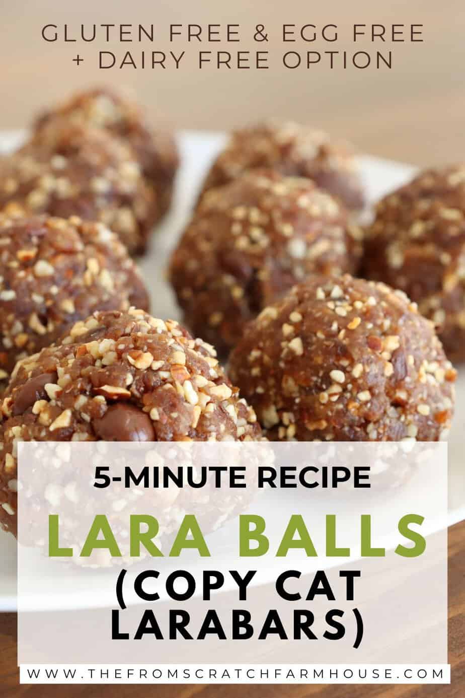 5-Min. Lara Balls {Copycat Larabar Recipe Made Easy} - The From Scratch ...
